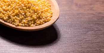 Proso pops | bio&bio