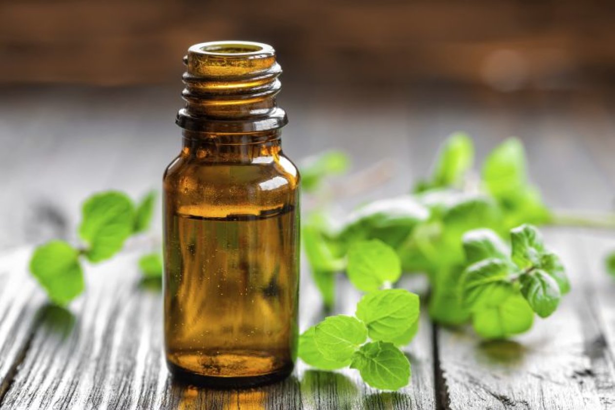 12 načina korištenja eteričnog ulja čajevca za zdravlje i ljepotu | bio&bio