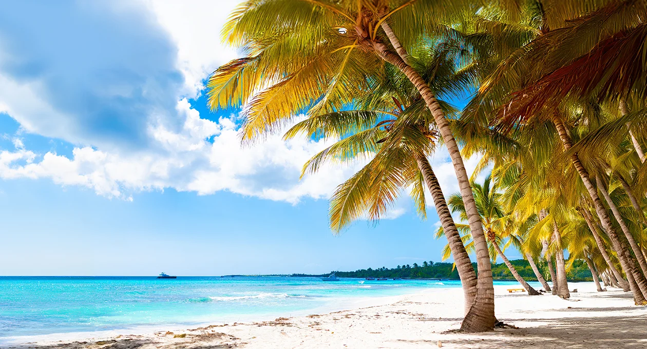 5 razloga zašto su repelent i SPF nezaobilazni ljetni saveznici | bio&bio