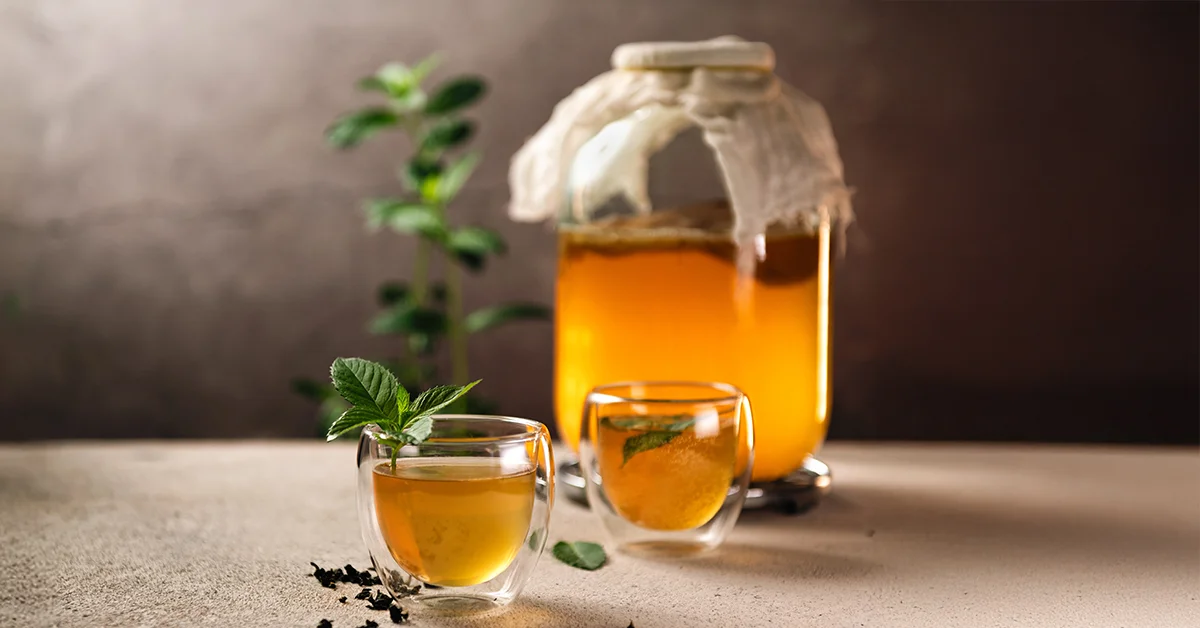 Zdrava, ukusna i praktična – kombucha je hit ljeta! | bio&bio | bio&bio